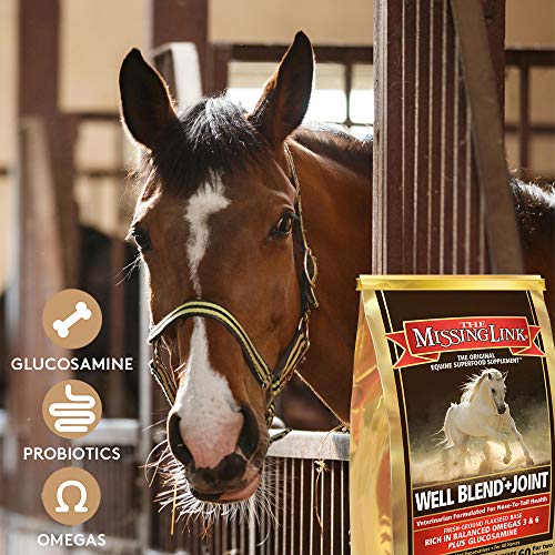 The Missing Link Equine Well Blend + Joint Superfood Supplement Powder, 5.3 lb. Bag / 60 Day Supply