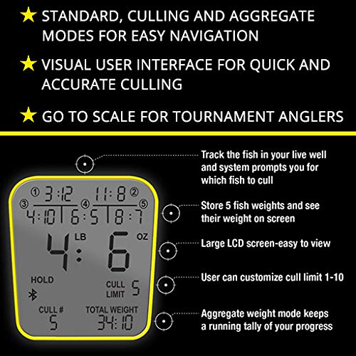 Catch Commander Ultimate Culling Scale 30lb