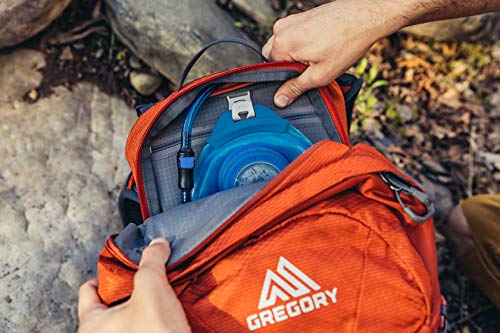 Gregory Mountain Products Men's Citro 24 H2O Hydration Backpack,Spark Orange