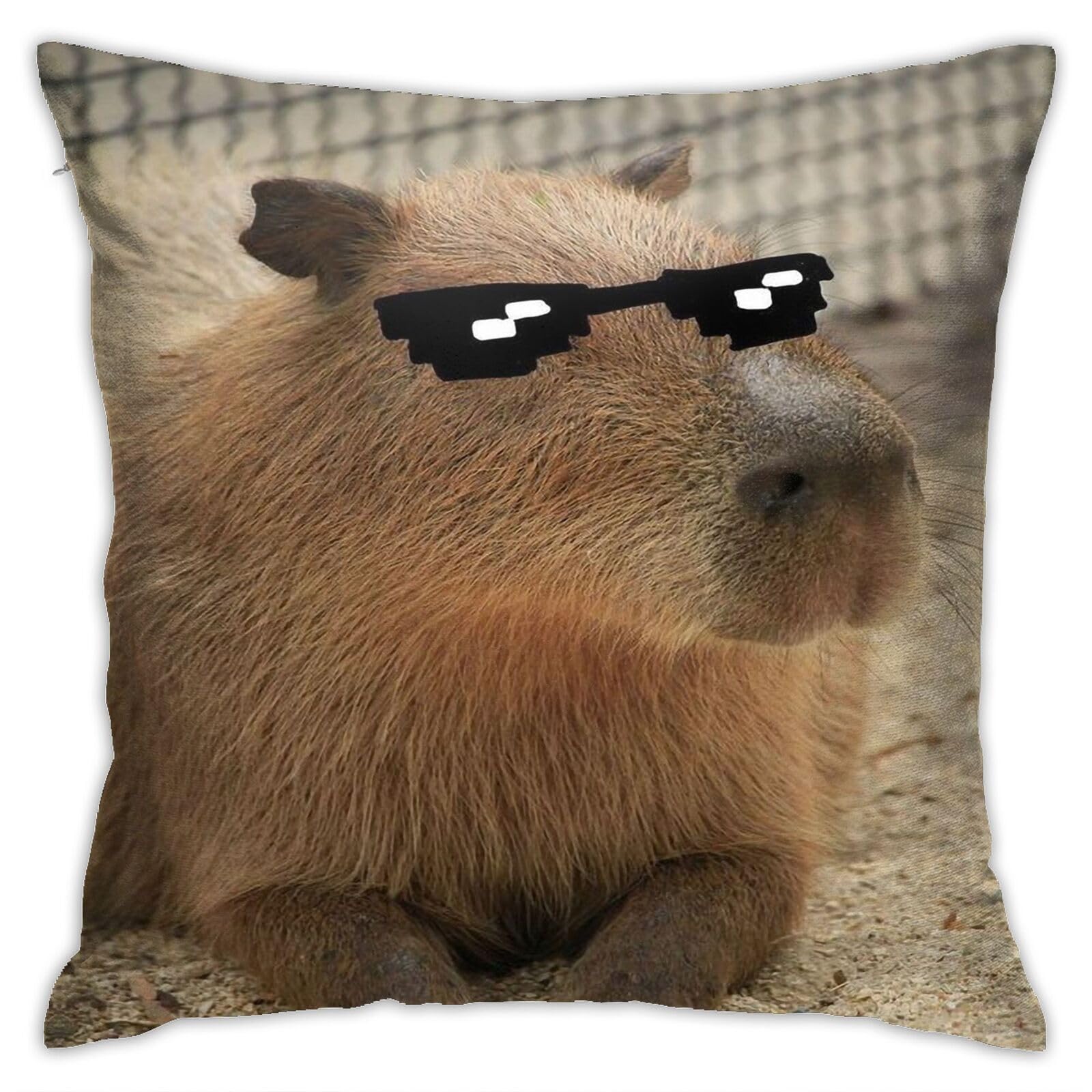 Funny Capybara Funny Meme Animal Throw Pillow Covers Novelty Square Pillow case Home Decorative Bedroom Couch Sofa Cushion case 18x18 in