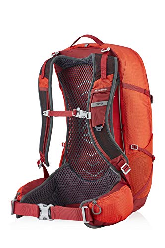 Gregory Mountain Products Men's Citro 30 Hiking Backpack, Vivid Red