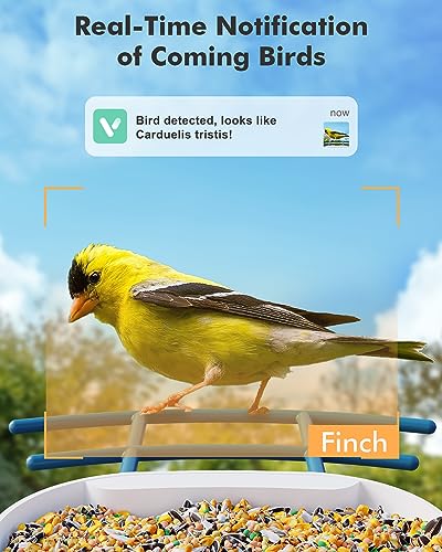 Dzees Security Camera Outdoor Wireless - Battery Powered WiFi Outdoor Camera Wireless, Smart Bird Feeder with Camera, AI Identify Bird Species, Auto Capture Bird Videos