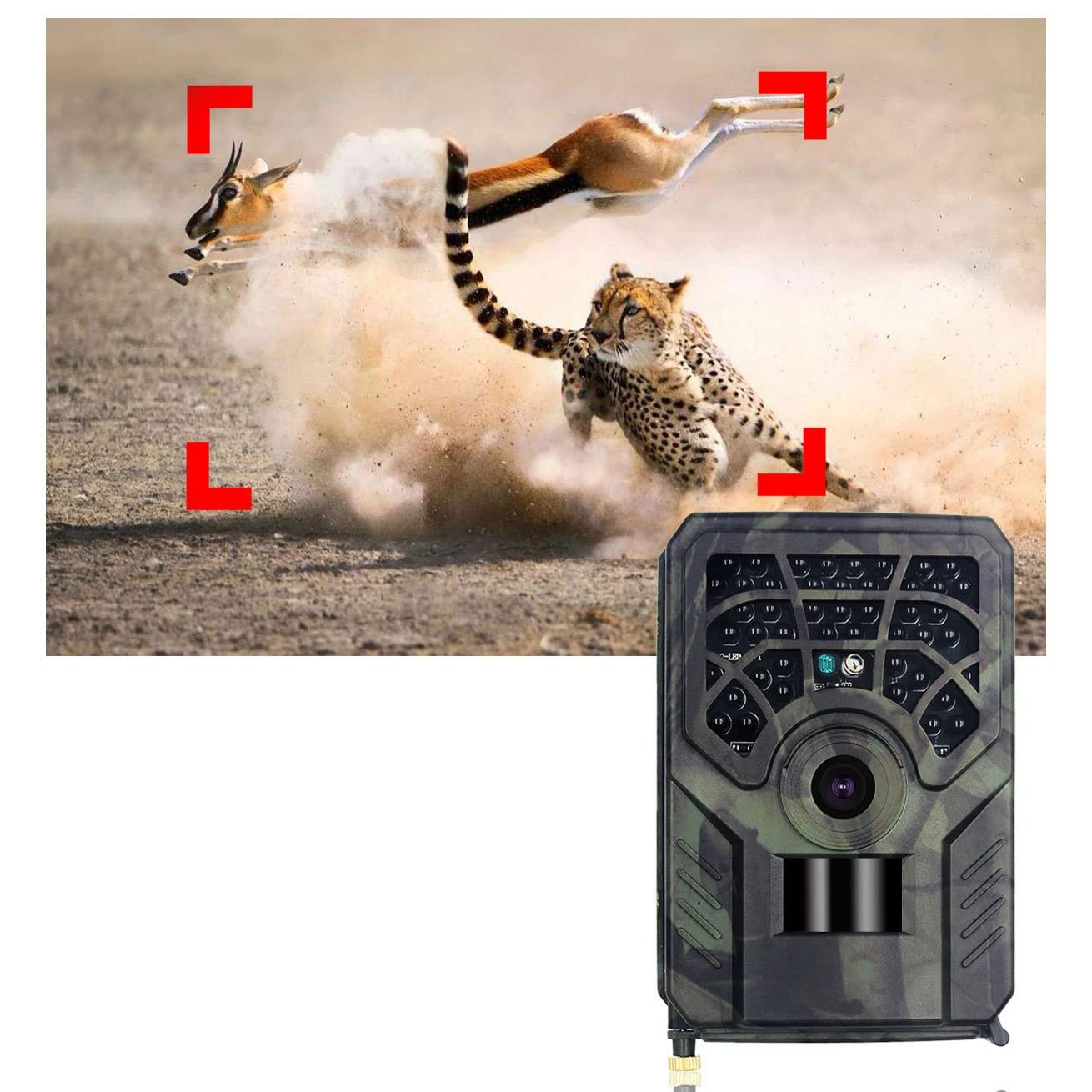Cohvolr Trail Camera 720P Wildlife Camera Hunting Trail Cameras for Outdoor Wildlife Animal Scouting Security Surveillance