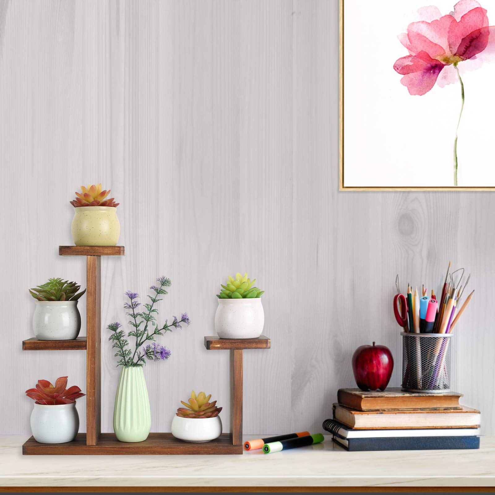 COOGOU Wood Desktop Plant Stand Indoor Small Windowsill Flower Shelf Tabletop Plant Shelf Holder Display Rack for Succulent Herb in Living Room Office