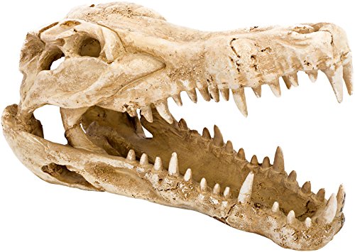 Penn-Plax RR1065 Crocodile Skull Animal Resin Ornament for Fish Tanks 9L x 4W x 5.5H"