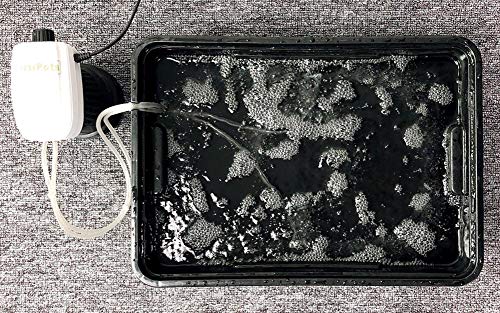 DWC Cloner Rooting Recirculating System 24 Site Cutting Clone and Seeding Root 2 in 1 Deep Water Cloner 24 Site with Clear Humidity Propagation Dome (Black)
