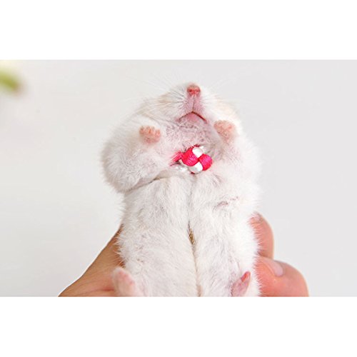 UEETEK Adjustable Hamster Harness Leash and Collar Walking for Hamster Cricetulu Rat Mouse Squirrel Small Pets Flexible Handle Rope 2M (Random Color)