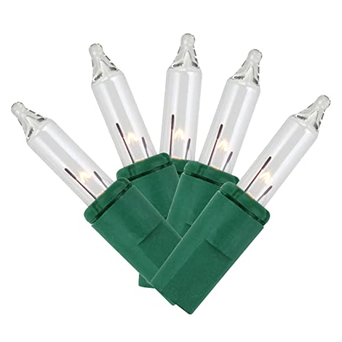DecoBrite Incandescent 69ft (21m) 300 ct Christmas String Lights Clear with Green Wire, Indoor Outdoor Christmas Lights Decorations for Tree, Patio, Garden(300 Clear Bulbs with Green Wire