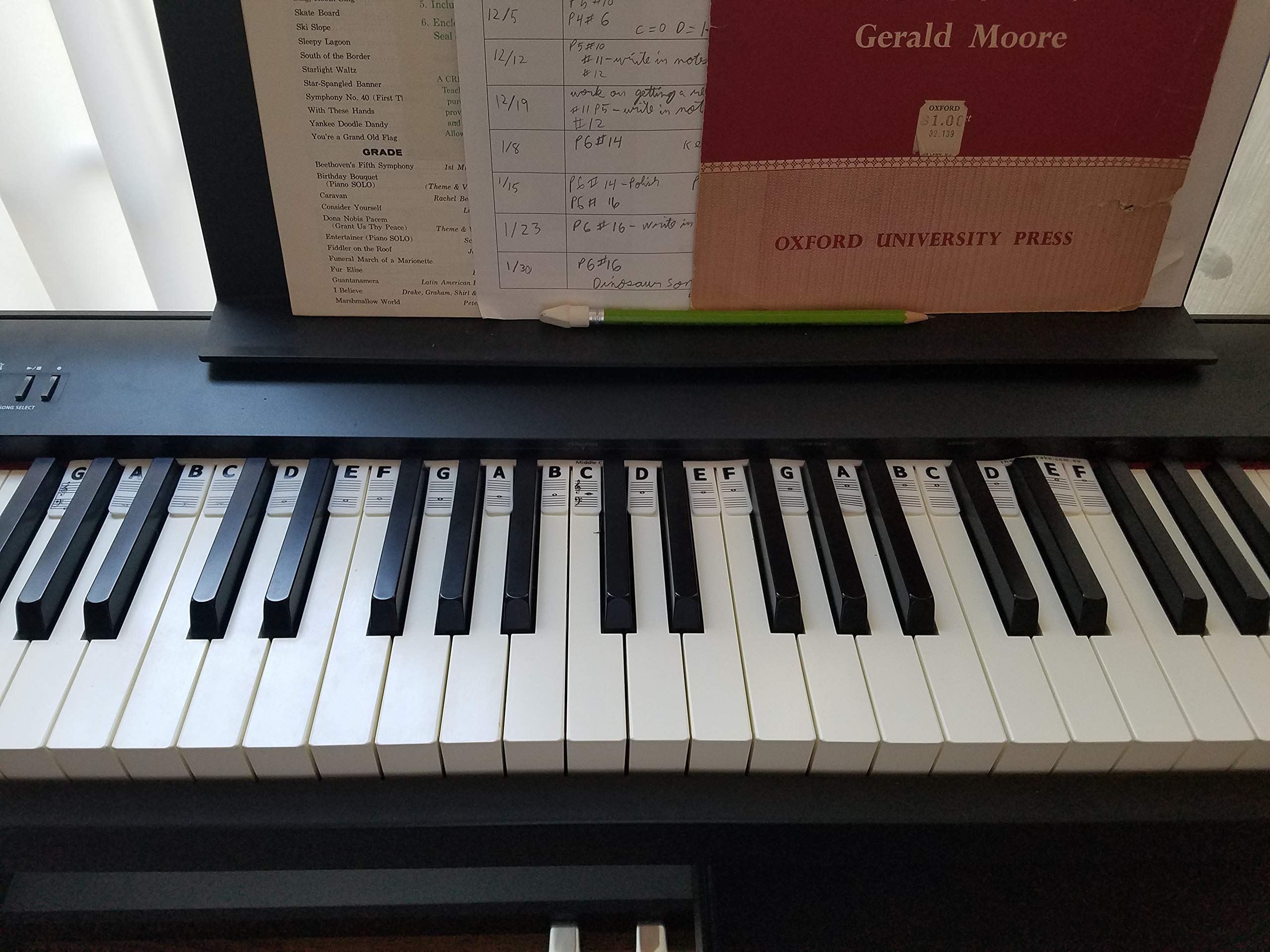 The Piano Rake (Piano Guide) | Learn Notes Instantly | Ultimate Accessory | Better Than Messy Stickers | Fits All Full-Size Key Pianos & Keyboards | 35 Key Length Shows Grand Stave