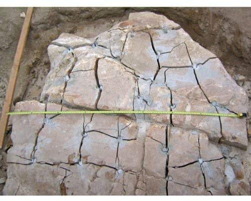 Dexpan Expansive Demolition Grout 44 Lb. Box for Rock Breaking, Concrete Cutting, Excavating. Alternative to Demolition Jack Hammer Breaker, Jackhammer, Concrete Saw, Rock Drill (DEXPAN44BOX2) (50F-77F)