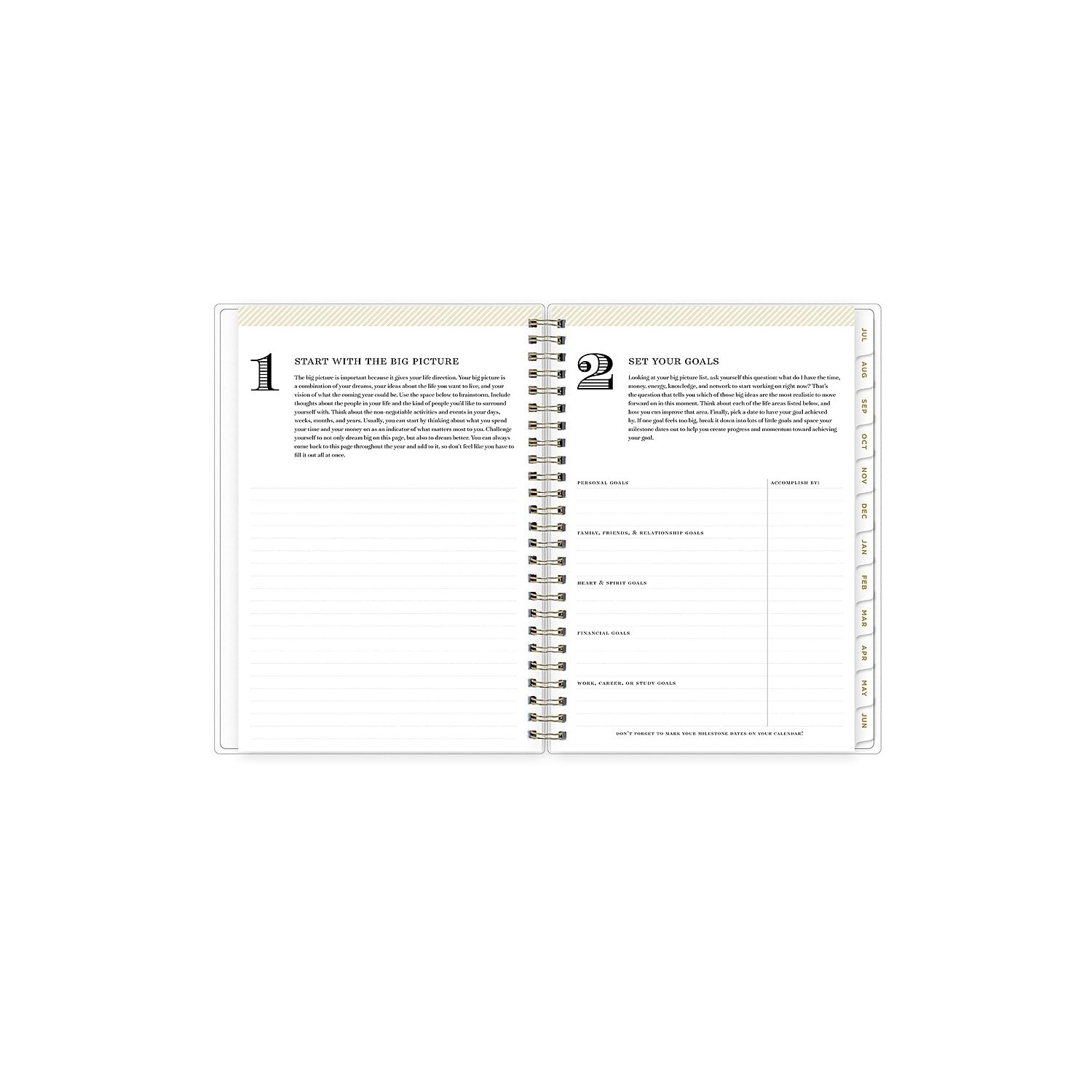 Blue Sky Day Designer for 2023-2024 Academic Year Weekly and Monthly Planner Notes, 5.8' x 8.6', Frosted Cover, Climbing Floral Mint (137884-A24)