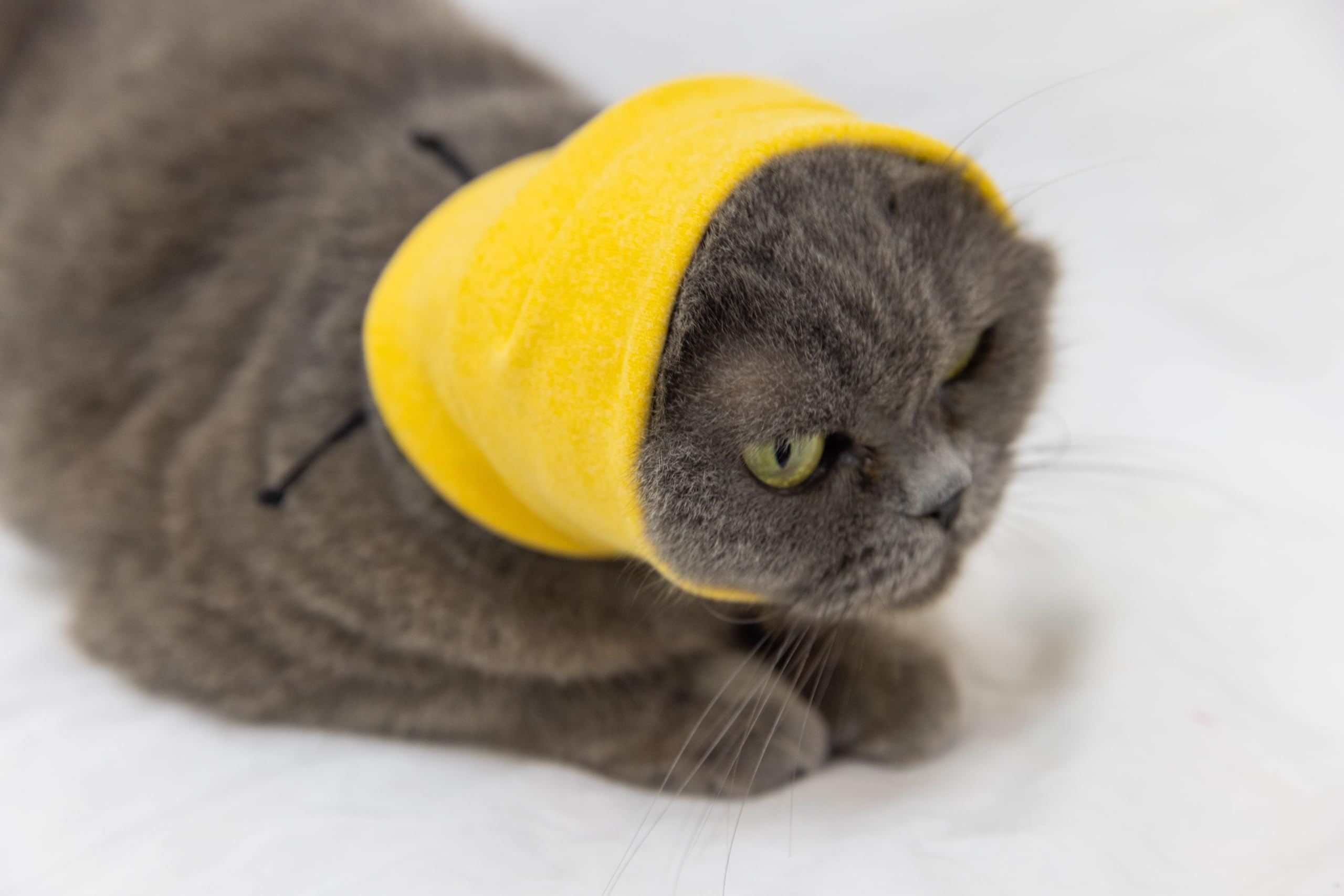 DDFS Cat Hematoma Ear Wrap,Cat No Flap Ear Wrap Anxiety & Stress Relief - No Flap Ear Wrap for Cats Yellow S
