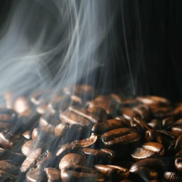 Bristot Decaf Italian Coffee Beans | Italian Espresso Beans Whole | Medium Roast | 1.1 lb/500g