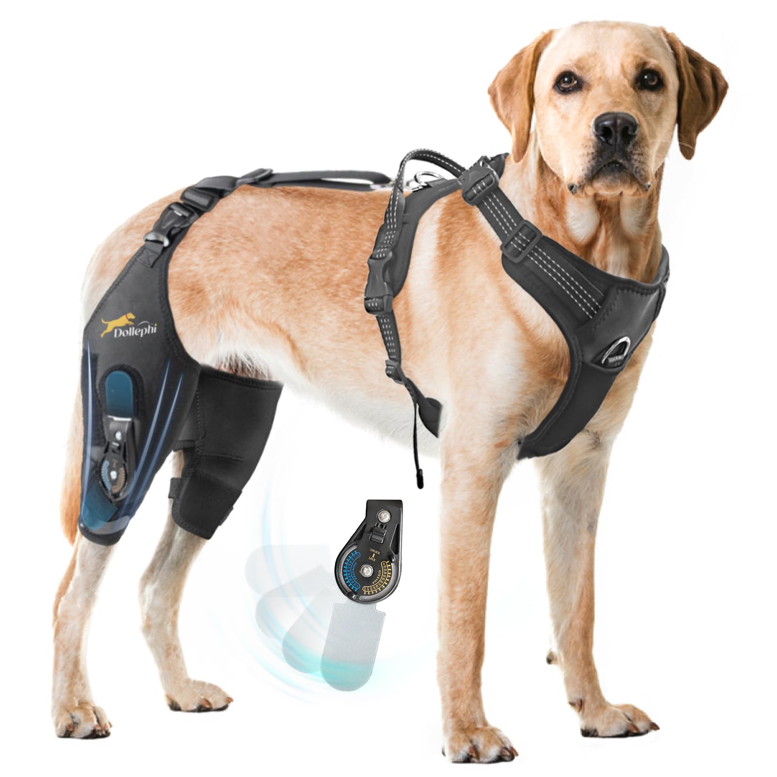 Dollephi Dog Knee Brace for torn acl hind leg with Adjustable Hinge Stabilizer, Dog leg brace Support for Cruciate Ligament Injury, Dog back brace for Osteoarthritis, Recovery After Surgery,et(L)