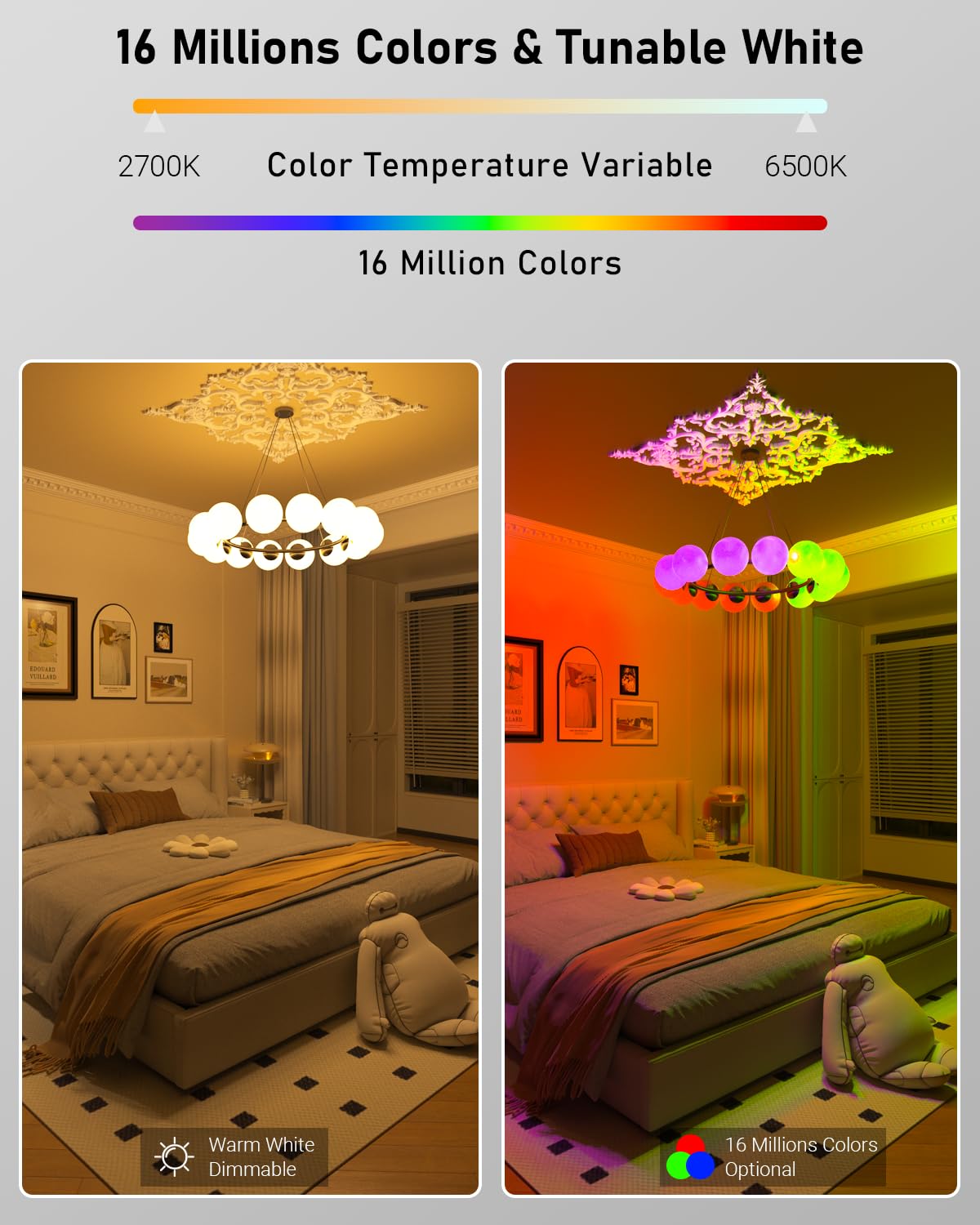 DomoPlus Matter Smart Light Bulbs, Full Spectrum Light Bulb Work with Alexa and Google Assistant, 16 Million Colors RGBWW WiFi Led Light Bulb, App & Voice Control, A19, 800Lm, 2 Pack