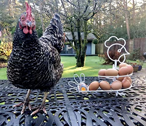 EggShuShu Gray Egg SKelter - Fresh Holder For Countertop ChicKen Stand BasKet Spiral Kitchen Wire RacK Eggs Farm with Timer