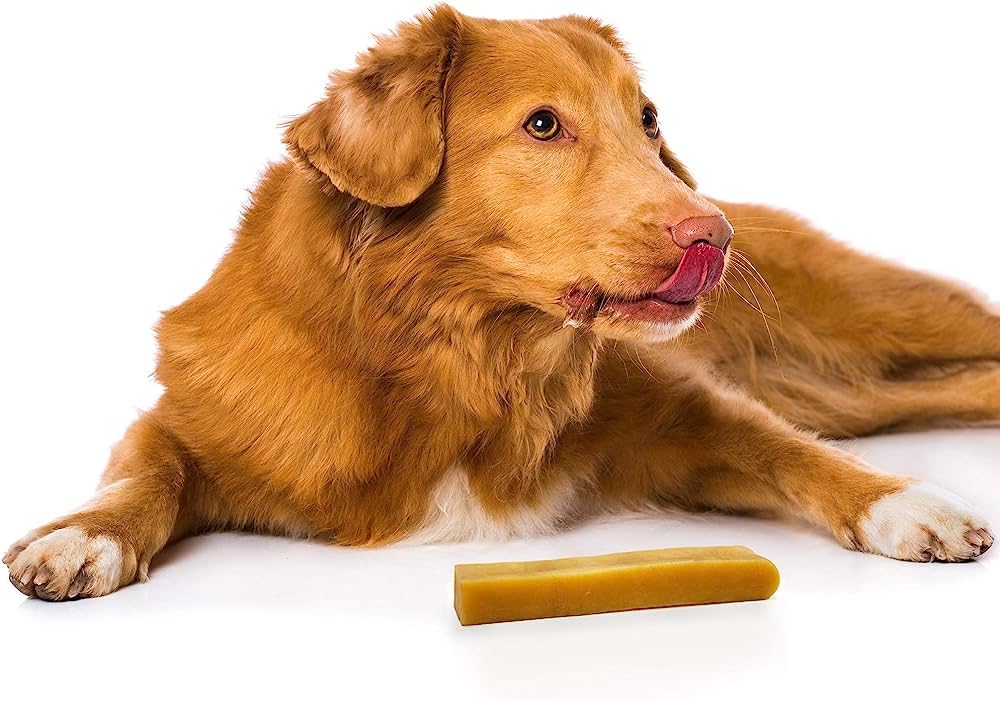 Dogscape chew-Himalayan Yak Chew, 11 oz (3 - Large Bars),100% Natural Vegetarian Yak Cheese Dental Bar, Protein & Calcium Rich Treat