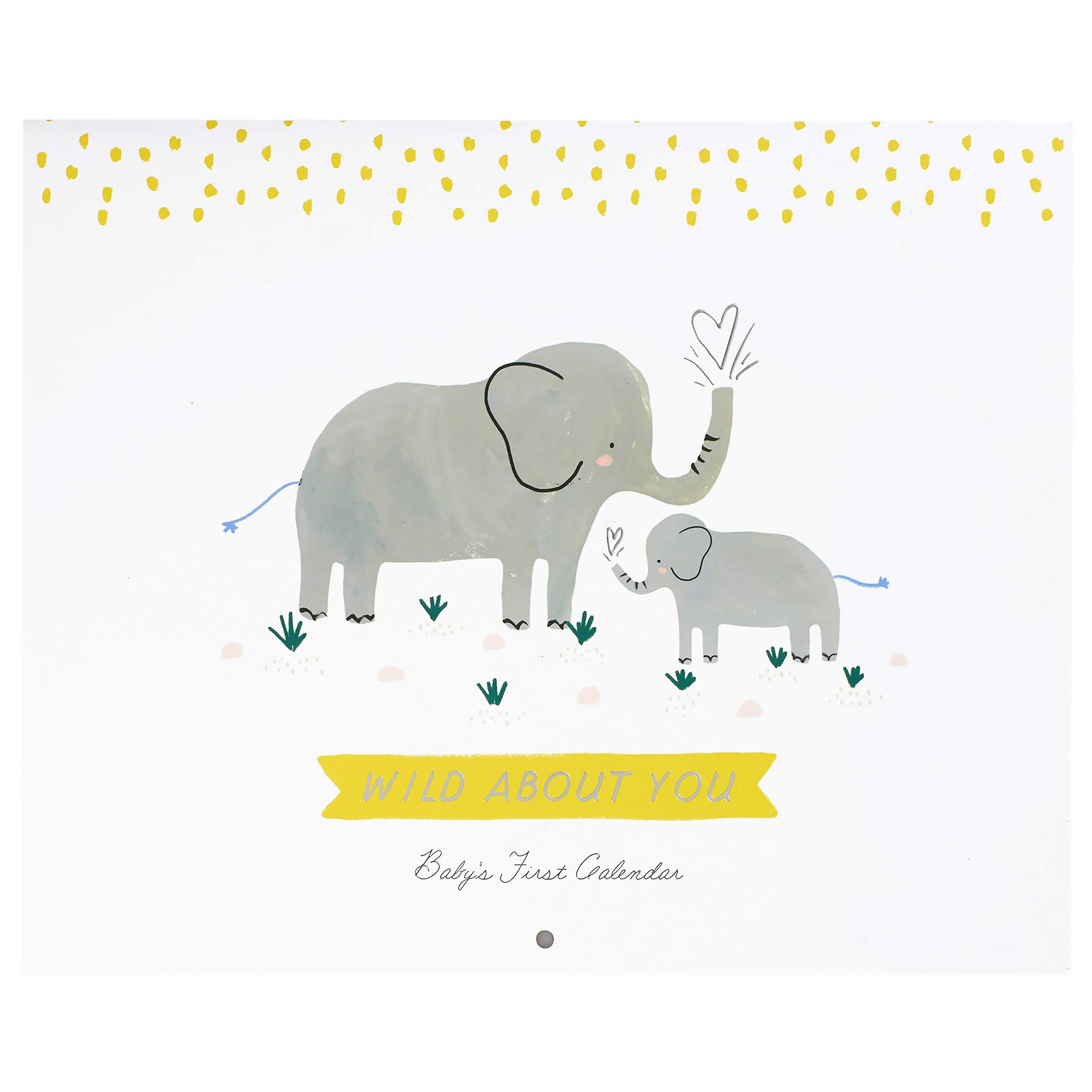 C.R. Gibson BA3-22583 Cute Elephants ''Wild About You'' Gender Neutral First Year Baby Calendar, 11'' W x 18'' H