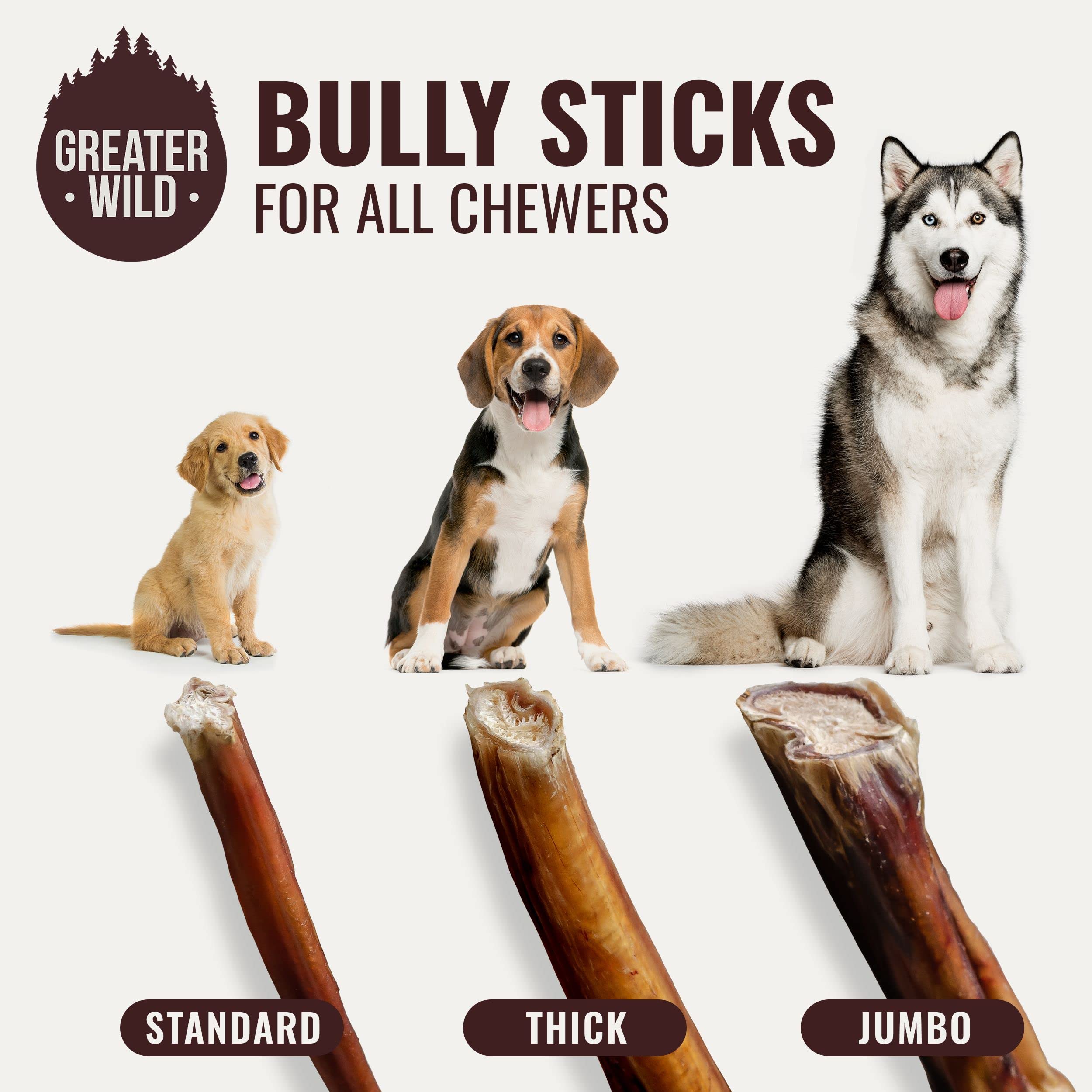 GREATER WILD Beef Bully Sticks Dog Treats, 5 6" Sticks - Single Ingredient, All Natural, Long Lasting Dog Chews for Large and Small Dogs - 100% Digestible