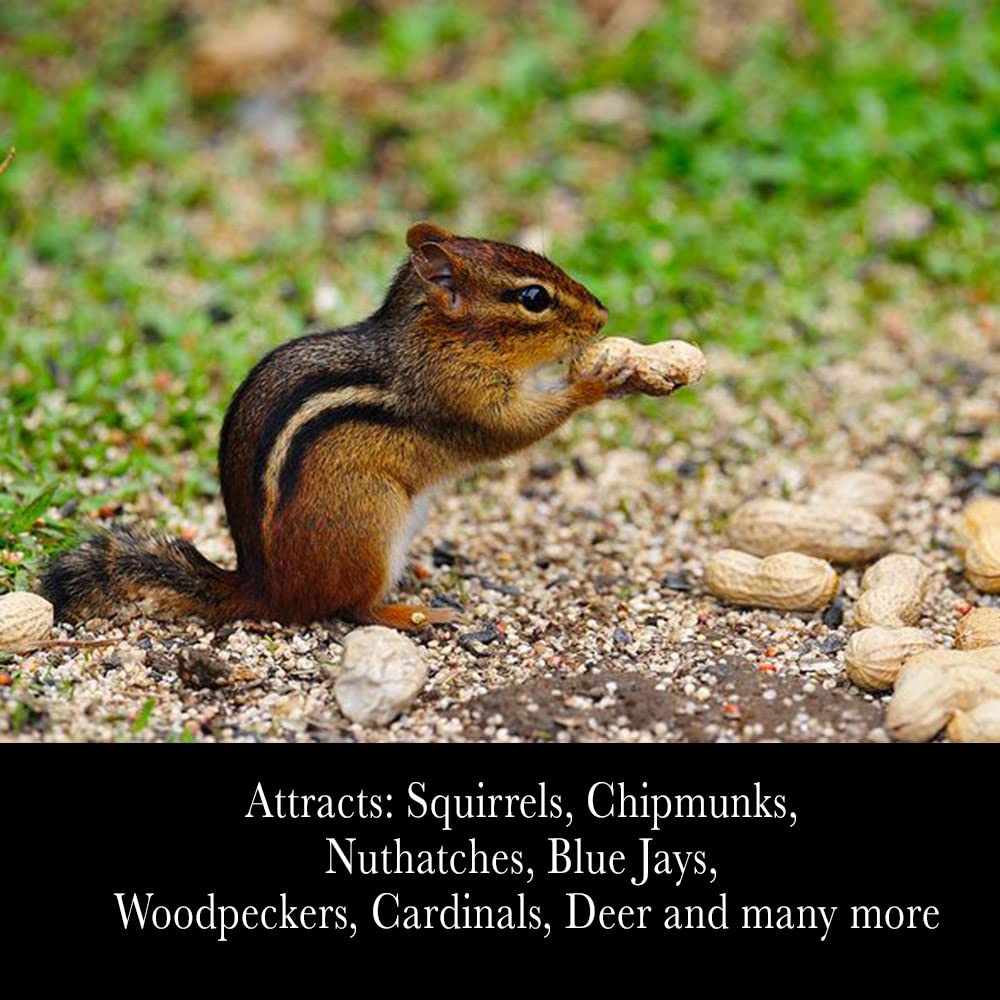 Desert Valley Premium in-Shell Peanuts - Wild Bird - Wildlife Food, Squirrels, Chipmunks, Cardinals, Jays & More (2-Pounds)