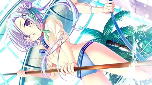 D.C.4 Fortunate Departures ~Da Capo 4~ Fortunate Departures - PS4 (Amazon.co.jp Exclusive) A4 Clear File Included