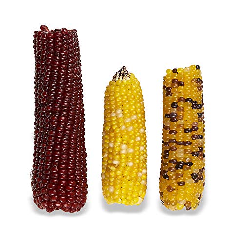 Vitakraft Mini Pops Treat for Small Animals - 100% Real Corn Cob - Supports Healthy Teeth - 6 oz