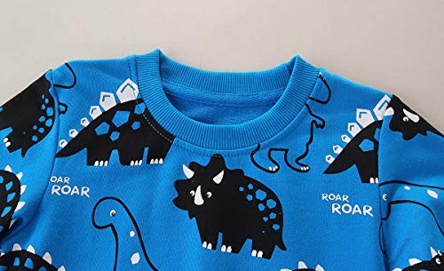 BTGIXSF Little Boys Cotton Crewneck Cartoon Long Sleeve Pullover Sweatshirt 167 4T
