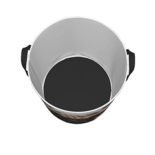 FeHuew Lovely Puppy Pug Portrait Collapsible Laundry Basket with Handle Waterproof Hamper Storage Organizer Large Bins for Dirty Clothes,toys
