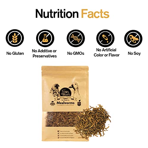 Fowl Treats Naturally Fortified Mealworms - Protein Rich Supplements Suitable for Hens and Ducks, Contains USA Grown Ingredients β Helps with Bone Strength, Feathers & Molt β 8oz