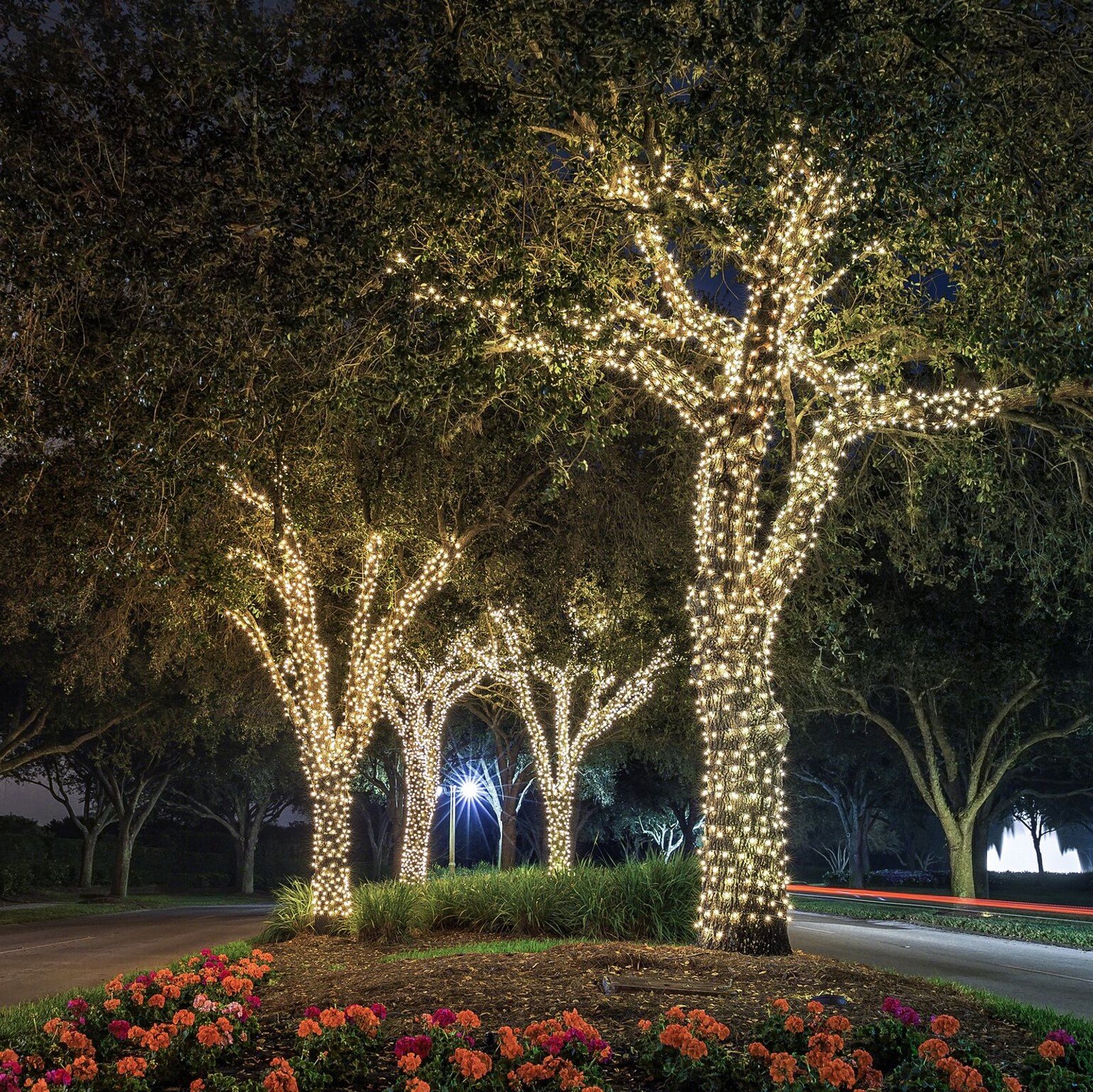 ORA LED Solar Powered String Lights, 100 LED’s, 55 ft, Waterproof, Dusk/Dawn Sensor, Perfect for Holiday, Christmas, Indoors, Outdoors, Home, Garden, Lawn, Patio, Decorative Landscape