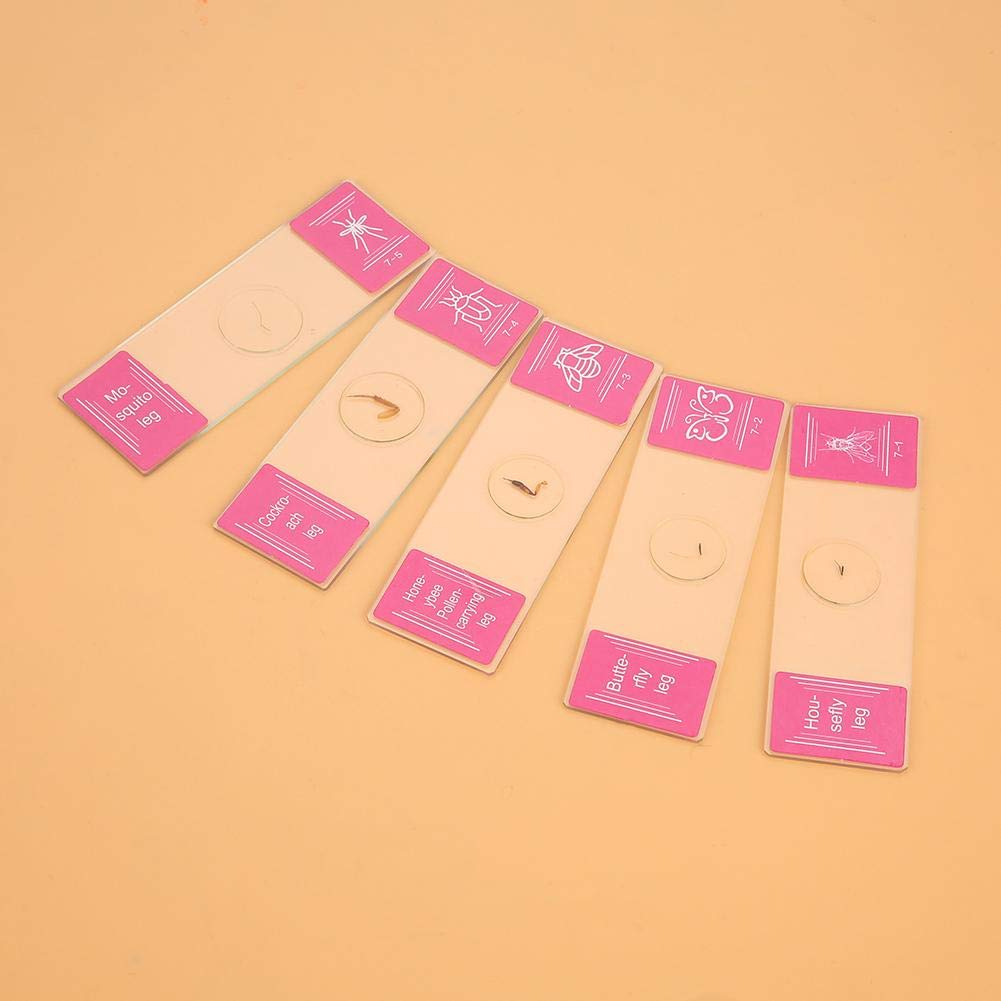 Hilitand 35pcs Biology Microscope Slide Glass Biological Prepared Slide Seven Type Biology Slide Lab Specimens Set