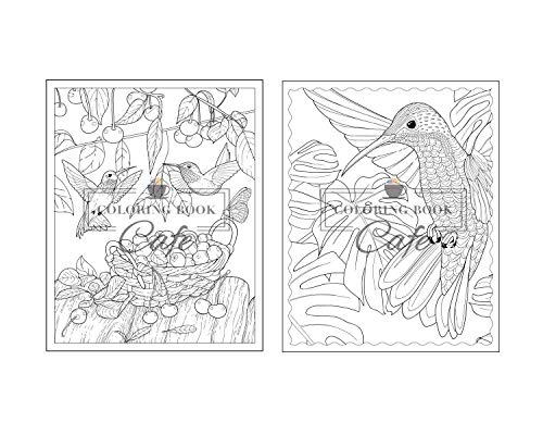Hummingbird Coloring Book: An Adult Coloring Book Featuring Charming Hummingbirds, Beautiful Flowers and Nature Patterns for Stress Relief and Relaxation