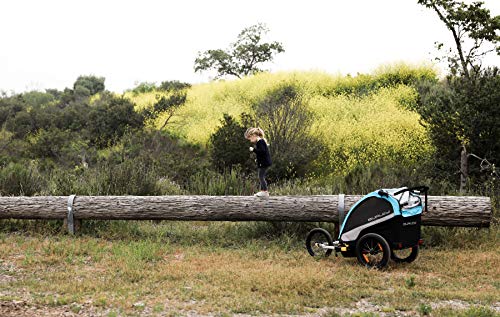 Burley D'Lite X, 2 Seat Kids Bike Trailer & Stroller