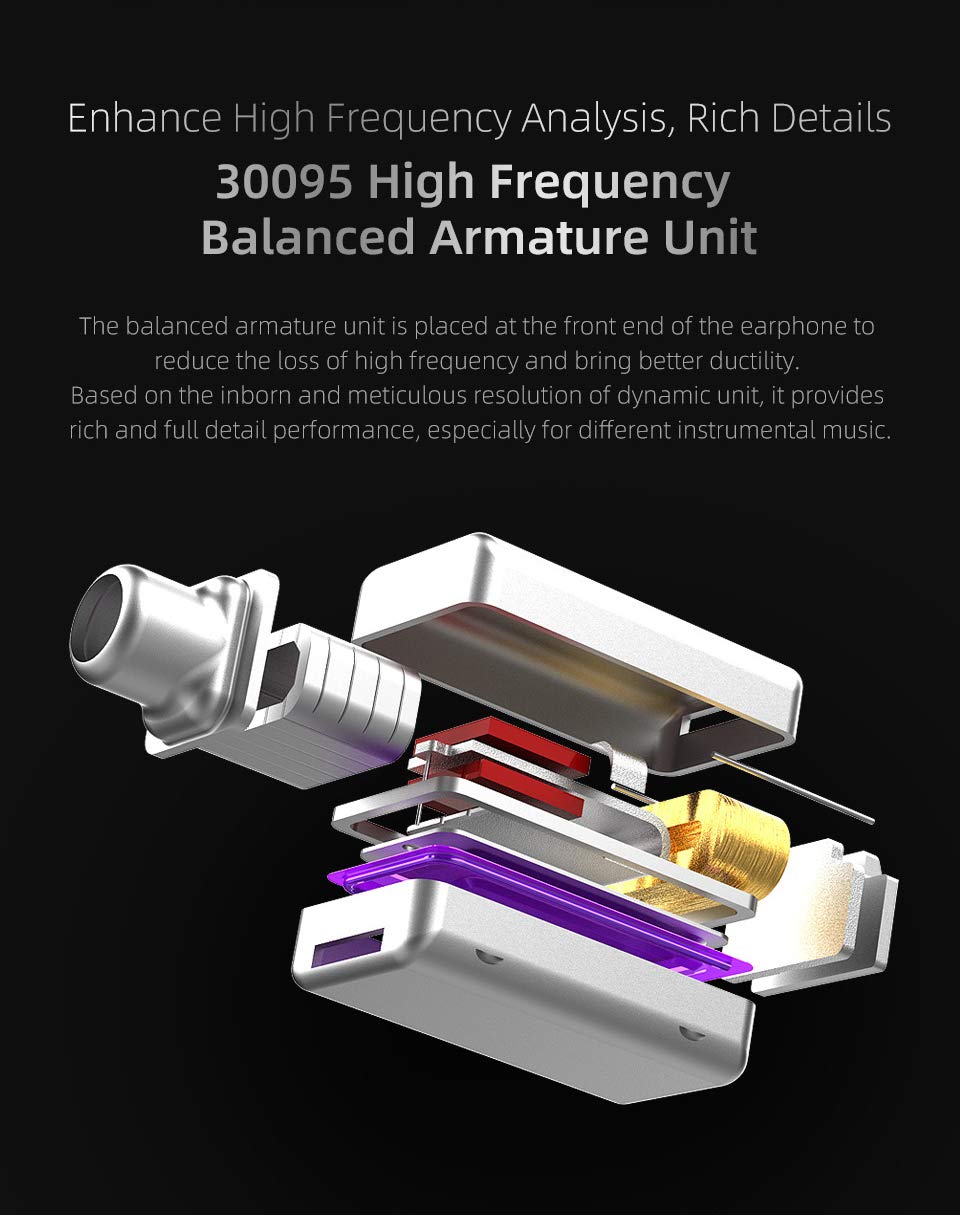 Kinboofi KZ ZSTX in Ear Headphone, 1BA 1DD HiFi Earphone with Hybrid Driver High Fidelity Sound IEM Headset with Detachable Cable (with Microphone, Purple)