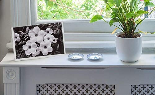 PPD Inkjet Large Matte Photo Quality Printable Greeting Cards LTR 8.5x11 folding to 5.5 x 8.5 53lbs 210gsm 9mil With Envelopes x 50 Sheets (PPD049-50-Env)