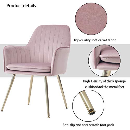 ceedment Modern Living Dining Room Accent Arm Chairs Club Guest with Gold Metal Legs (2, Pink)