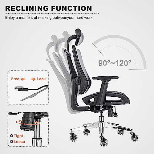 BV Ergonomic Dual Backrests Office Chair, Lumbar Support Office Desk Chair Back Support, Breathable mesh Office Chair 3D Adjustable Armrest(Foam Black)