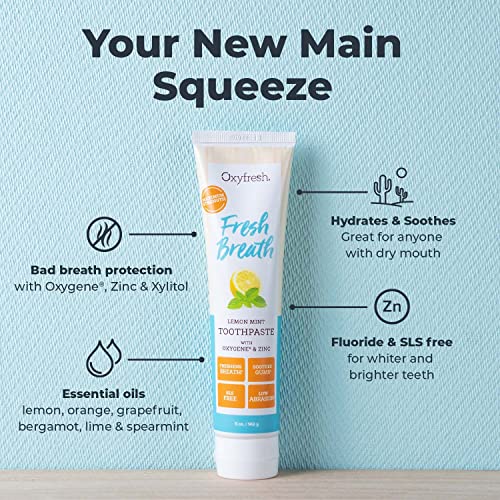 Premium Oxyfresh Lemon Mint Fresh Breath Toothpaste โ Low Abrasion Toothpaste for Bad Breath - SLS & Fluoride Free Toothpaste โ Anti Plaque & Tartar Control Toothpaste with Essential Oils. 5oz