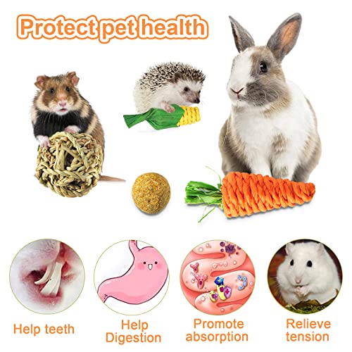 PD Bunny Chew Toys for Teeth, Natural Timothy Grass Small Animal Chew Toys, Mixed Grass and Molar Grass Cake and 2 Balls for Rabbits Chinchilla Hamsters Guinea Pigs Gerbils Groundhog Squirrels(14 pcs)