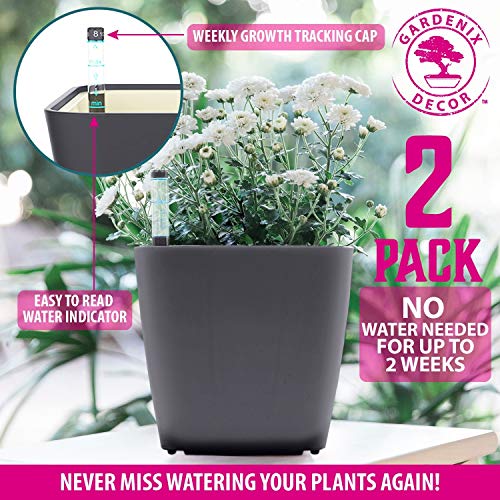 GARDENIX DECOR 5" Self Watering pots for Indoor Plants - Flower Pot with Water Level Indicator for Plants, Grow Tracking Tool - Self Watering Planter Plant Pot β 2 Pack Gray