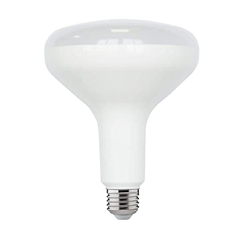 Home Depot 75-Watt Equivalent BR40 CEC Dimmable LED Light Bulb 2700K Soft White (6-Pack) Damp Location Rated