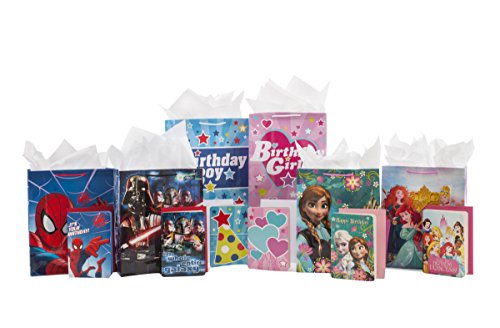 Hallmark 13" Large Gift Bag with Birthday Card and Tissue Paper (Disney Princesses)