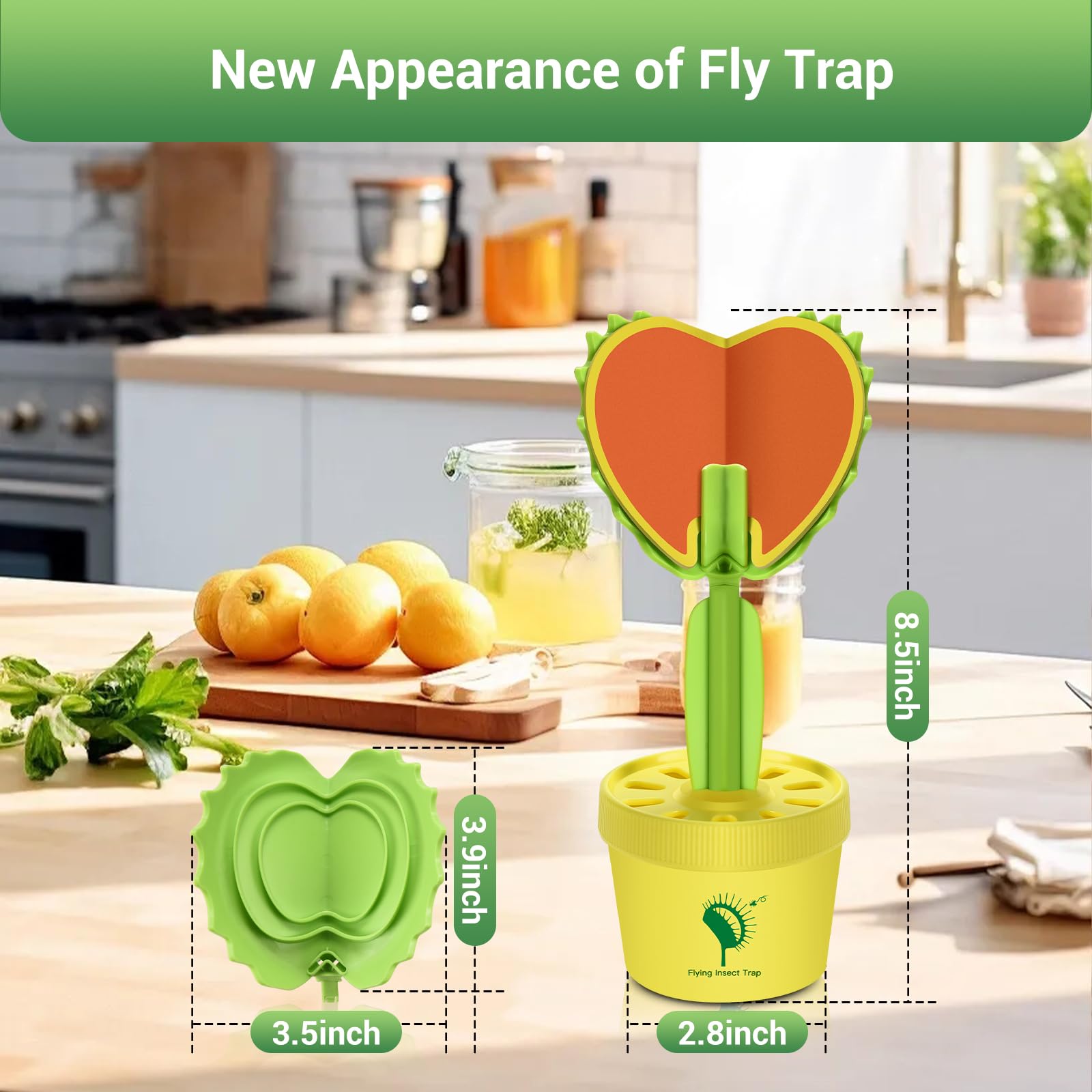 Fruit Fly Trap for Indoor, Gnat Trap for House Indoors with 10Pcs Sticky Pads & Attractant, Fly Trap for Home Kitchen Plant 2 Pack