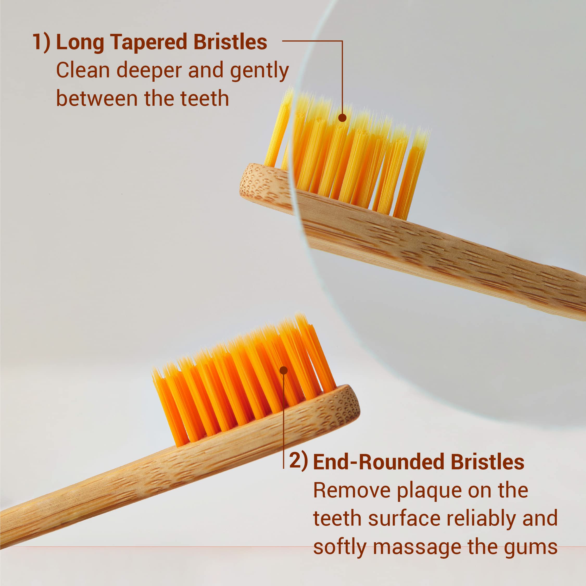 Dr.NOAH Ceramic Toothbrush Holder (2 Pack) & Maru Bamboo Toothbrush, Compact (6 Pack) | Diatomite Fast Drying Toothbrush Holders for Bamboo Toothbrushes