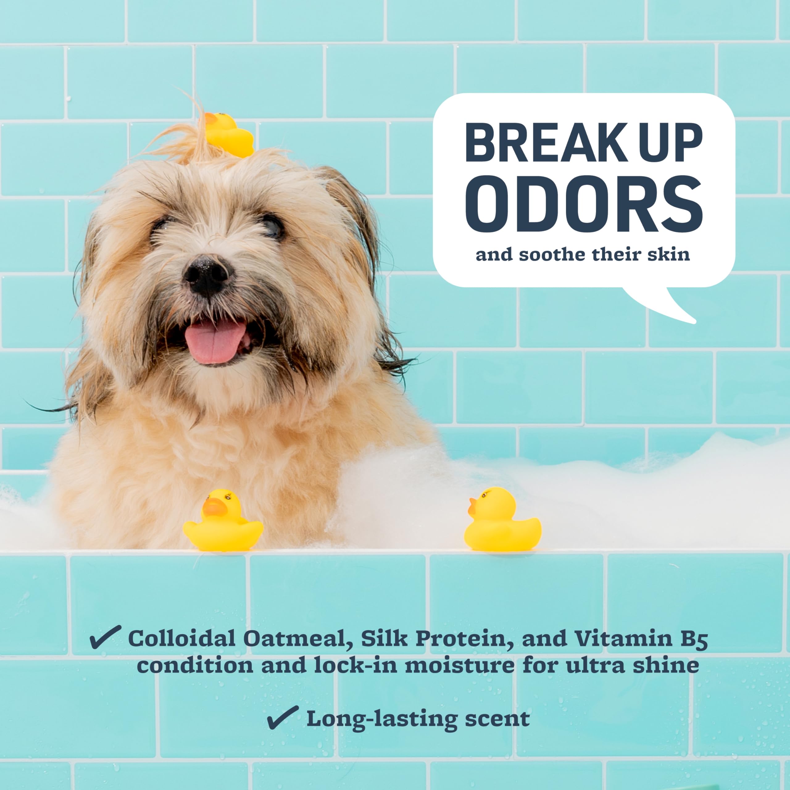Veterinary Formula Smart Coat Complex Soothing and Deodorizing Oatmeal Shampoo for Dogs, 17 Fl oz β Baking Soda Eliminates Odors, Aloe Vera & Oatmeal Cleanse and Hydrate Skin β Long-Lasting Fragrance