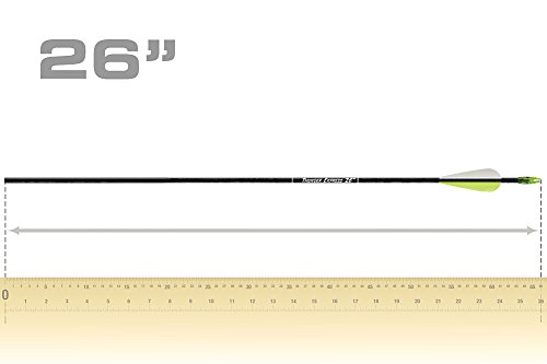 Carbon Express G0326 Thunder Express Arrow, 26-Inch, Youth,Black