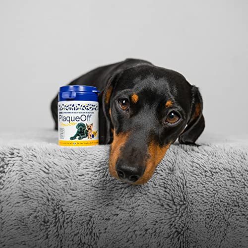 ProDen PlaqueOff Powder – Supports Normal, Healthy Teeth, Gums, and Breath Odor in Pets – 420 g