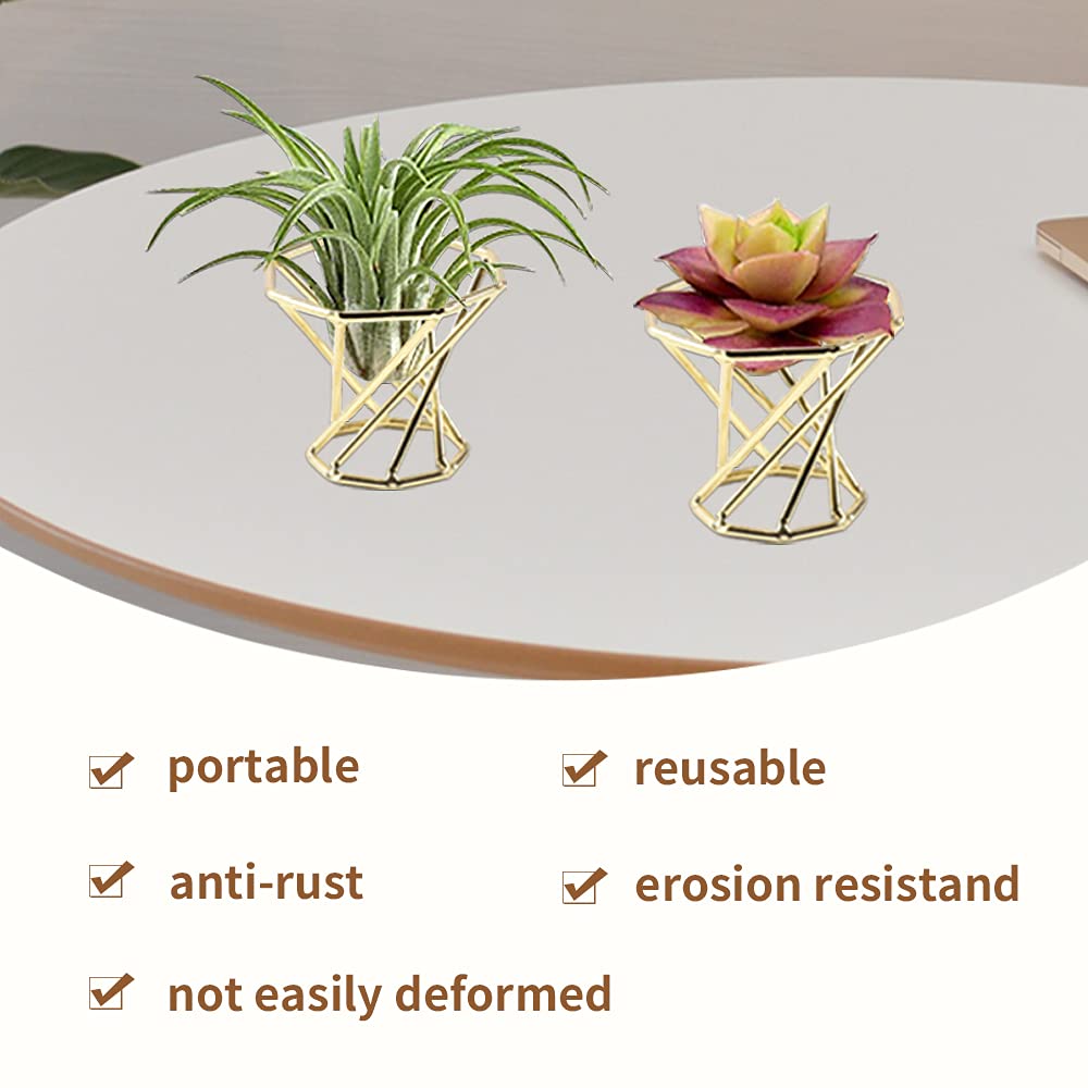 Bxxwin Air Plant Stand Container 4 Pcs Geometric Air Plant Container Airplant Display Racks for Office Desk(Gold)