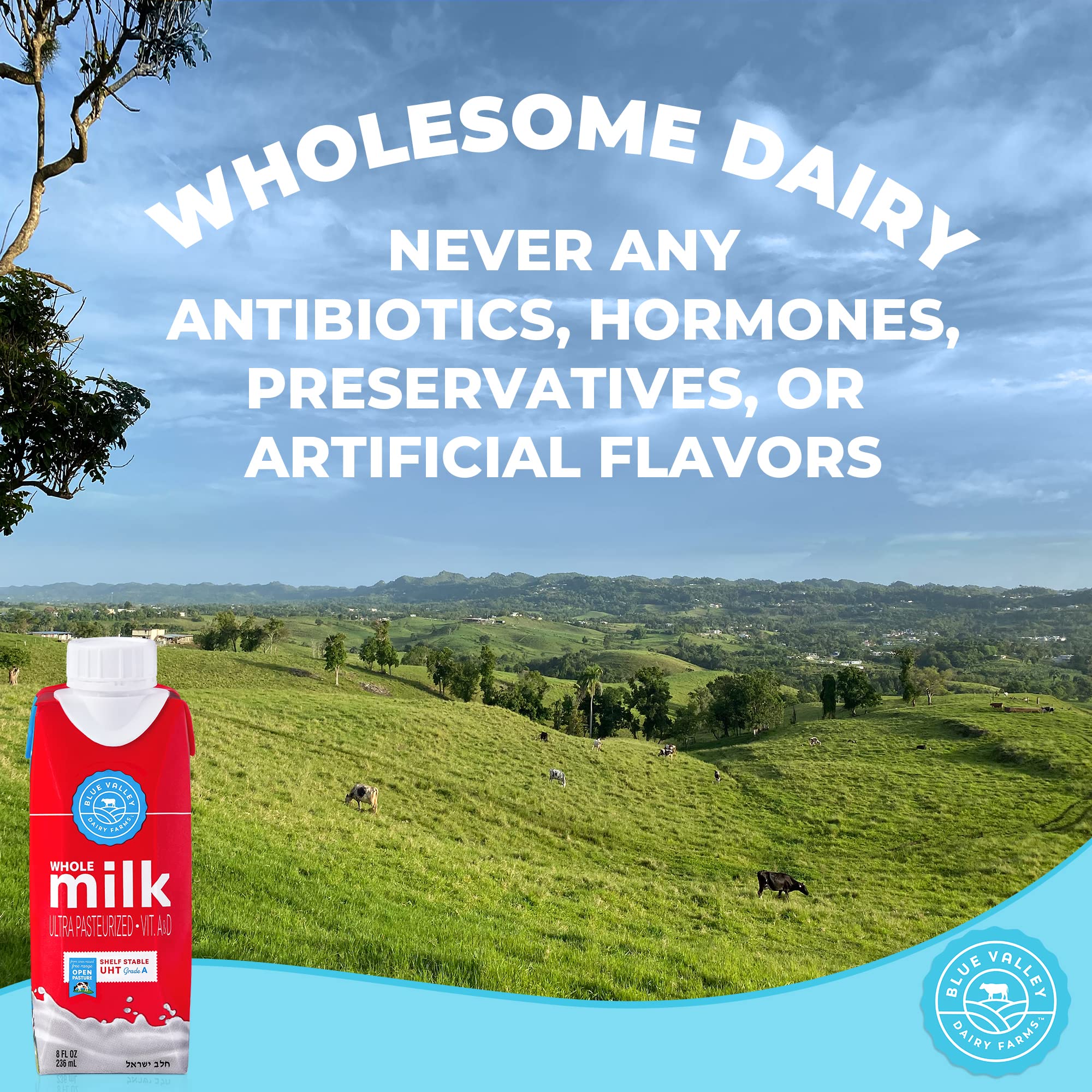 Blue Valley Whole Milk, Open Pasture, Shelf Stable, Cholov Yisroel-8Fl Oz-(24 PACK)