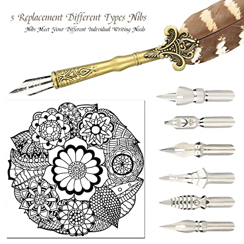 hhhouu Feather Pen and Ink Set, Quill Pen Set Antique Dip Pen with Ink and 6 Replacement Nibs 6pcs Nibs Calligraphy Pens for Beginners HO-Q-300